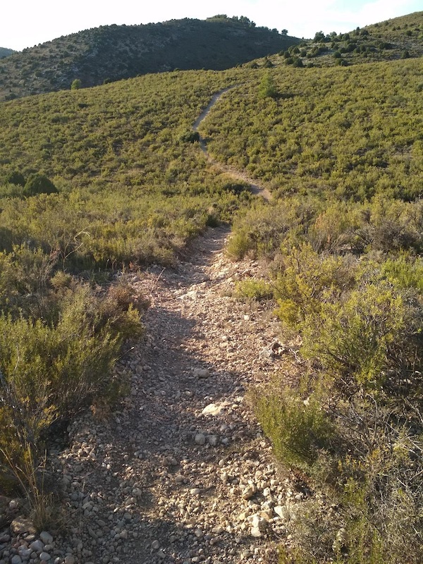 Ruta del Jabalí Multi Trail - | Trailforks