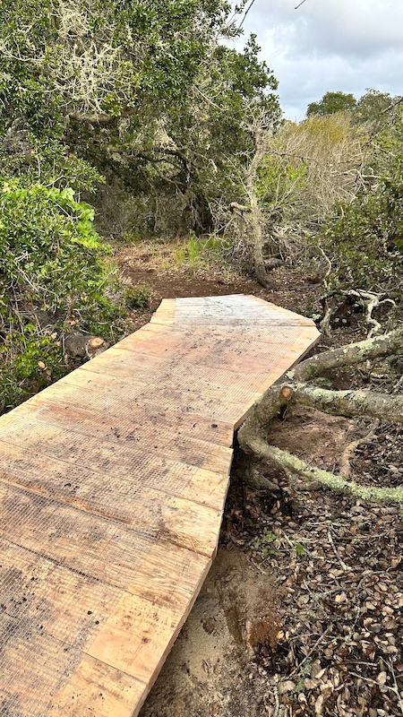 Pie Trail Multi Trail - Orcutt, California | Trailforks