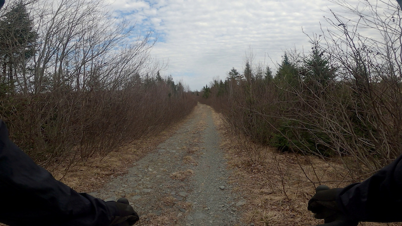 Old logging road Multi Trail - Musqudoboit Harbour