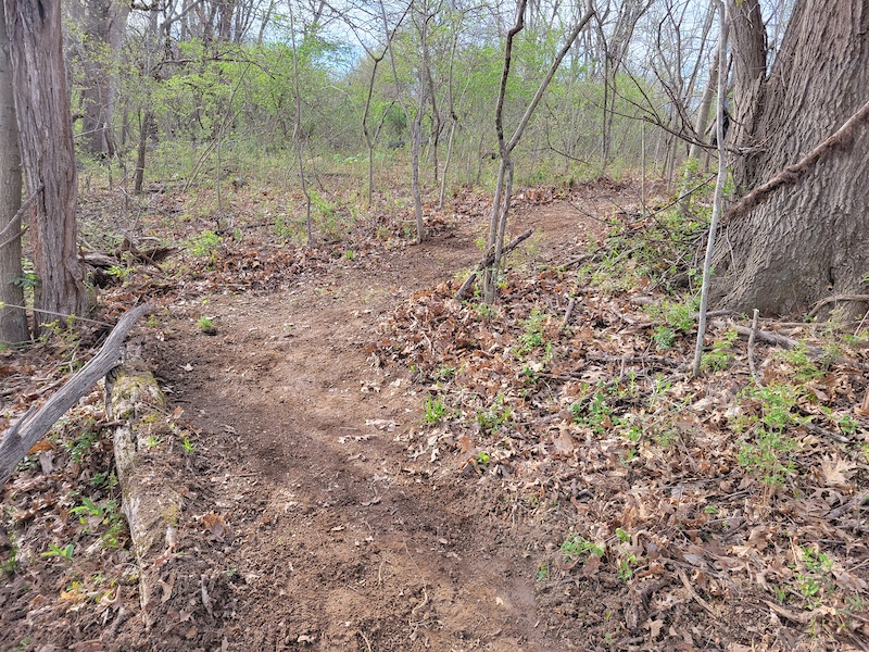 Trailer Ridge Connector Mountain Biking Trail - Carrollton