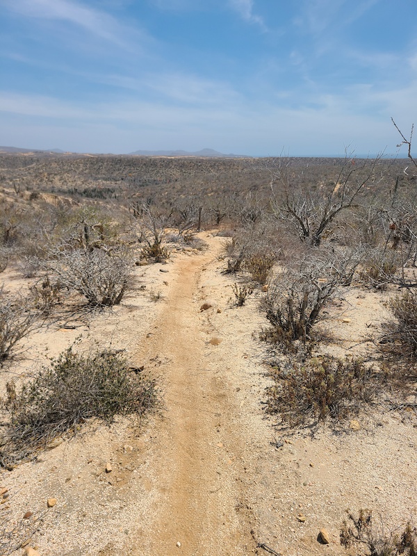 Scimitar Ridge Mountain Biking Trail - | Trailforks