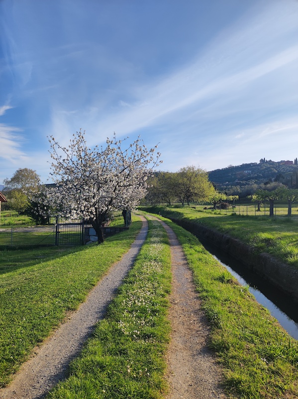 Canale Di Moriano Multi Trail - Lucca | Trailforks