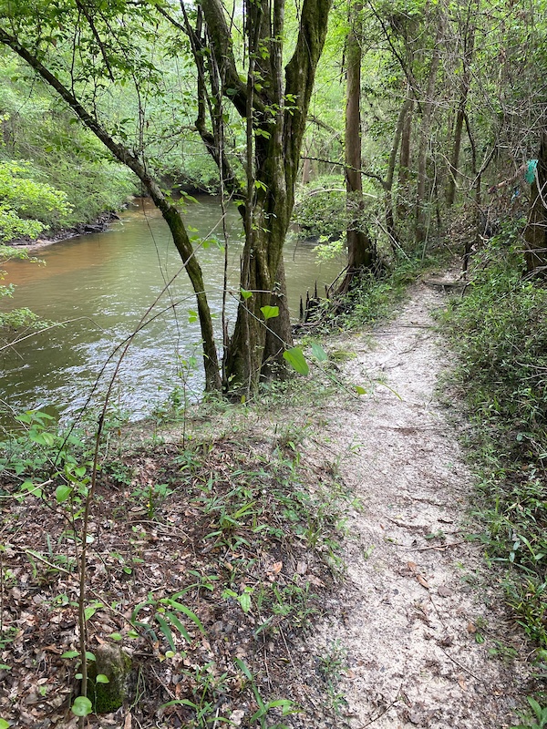 Conecuh South Loop Trail Multi Trail - - Alabama