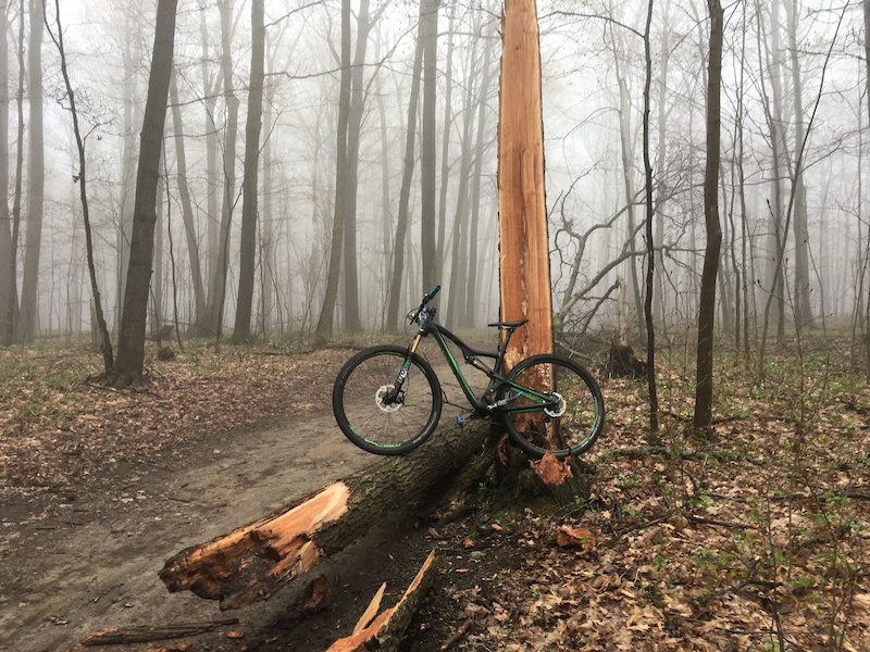 2015 Ibis Ripley V1 Carbon Medium For Sale