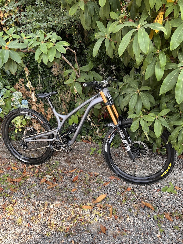 2020 Full custom Commencal supreme dh 29 For Sale