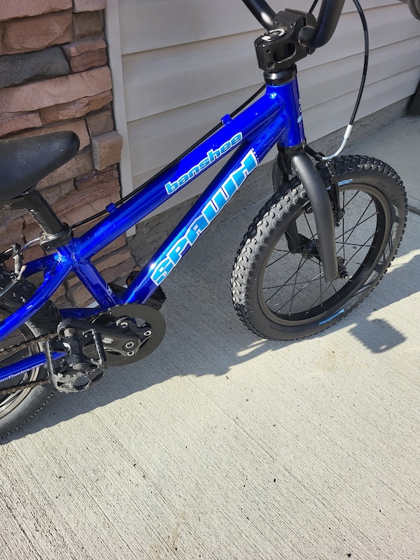 2017 Spawn Banshee 16" For Sale