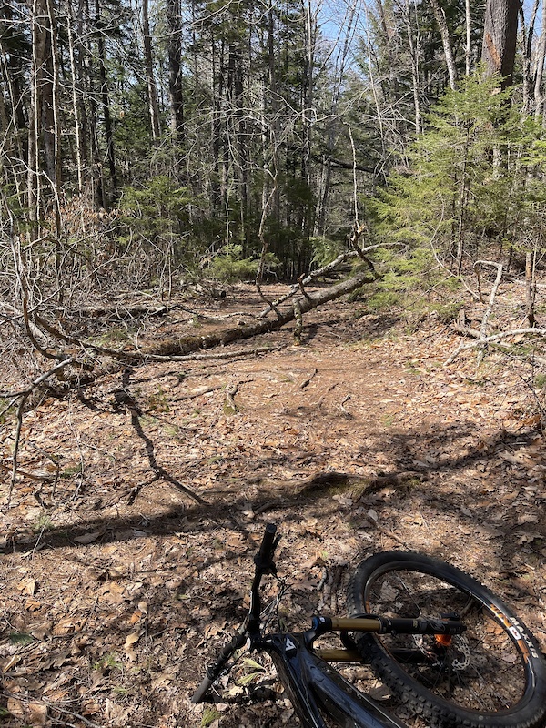 Yellow Jacket Trail Multi Trail - Thornton, New Hampshire