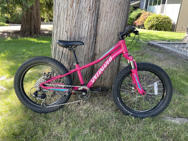 2020 Specialized Rip Rock For Sale