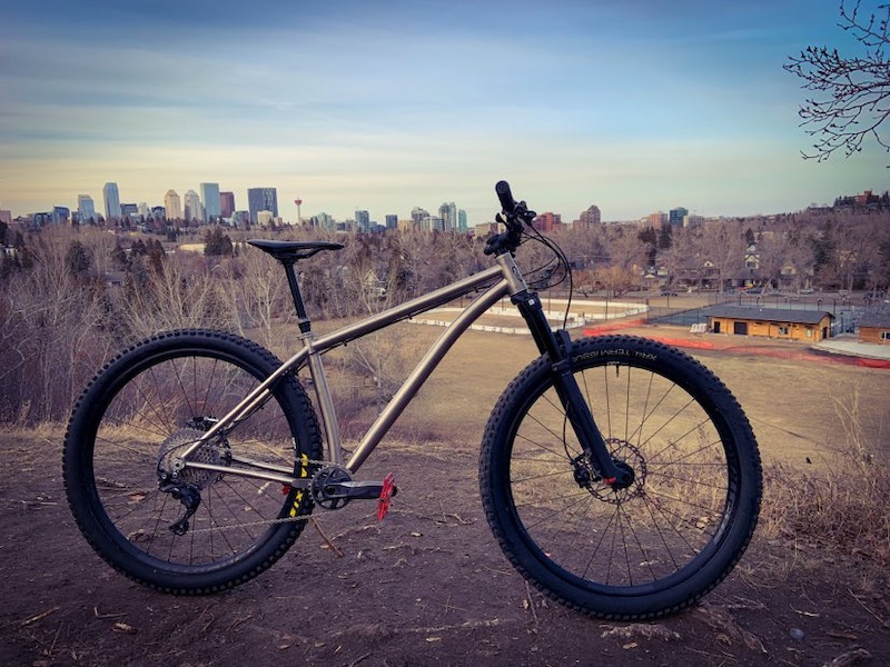 2019 Cove Ti - 25th Anniversary Hummer 29er - Size M For Sale