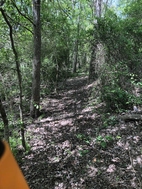 Silo Ridge Mountain Biking Trail - Pearland, Texas