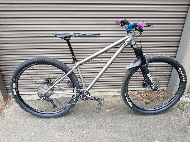 2019 Titanium Hard Tail bike frame Medium/Large For Sale