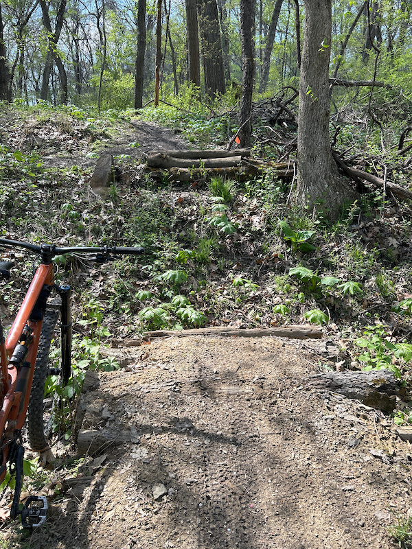 Big Rock loop Multi Trail - Allison Park, Pennsylvania