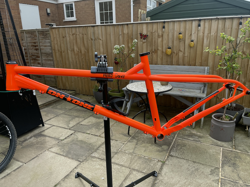 2022 HELLO DAVE (L) Orange For Sale