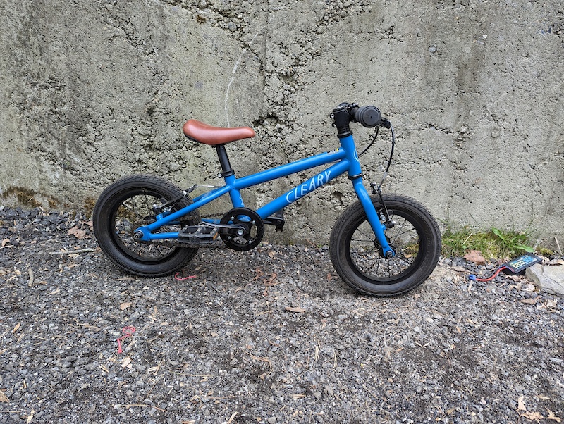 2021 Clearly Gecko 12" For Sale