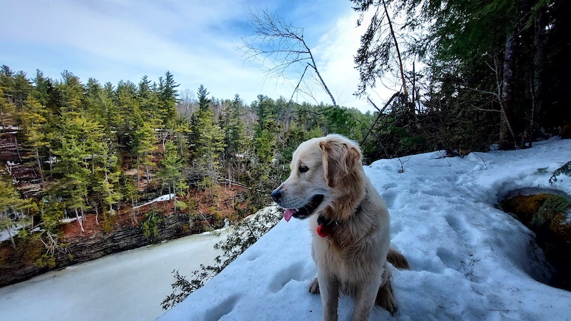 The Gulf Unique Area Trail 2 Hiking Trail - Mooers