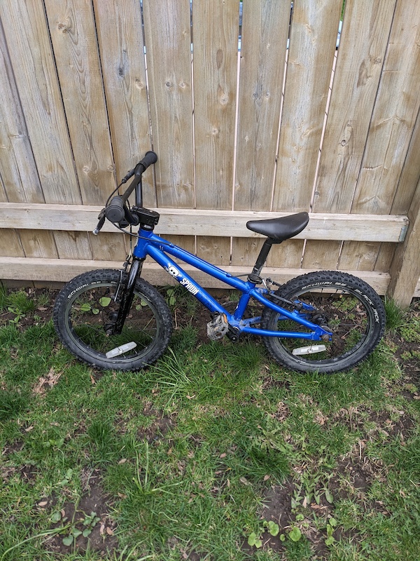 2019 Spawn Banshee Kids Bike $350 For Sale