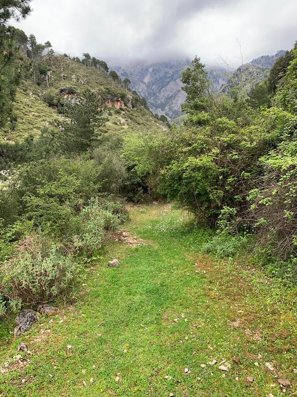 Access offroad to Qafa e Shëngjergjit Multi Trail