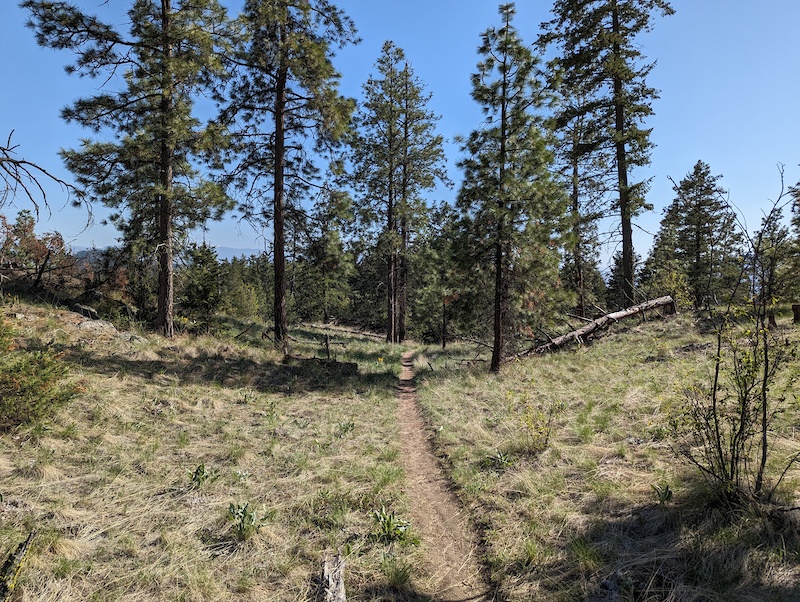 Little Willy Multi Trail - Lake Country, BC | Trailforks