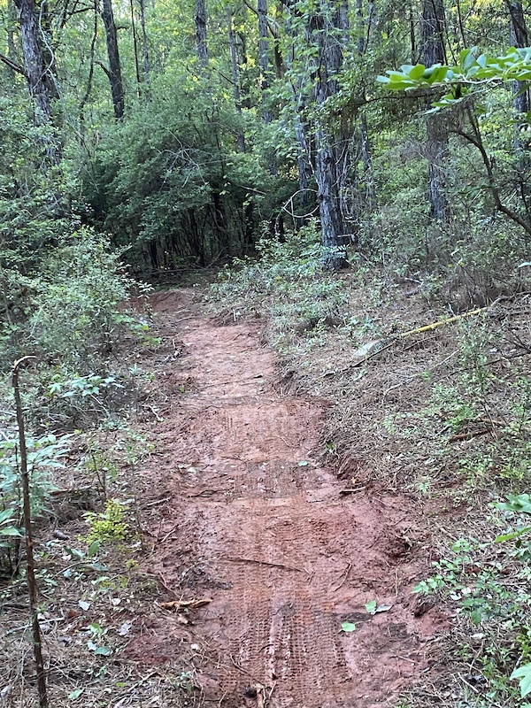 Pine Hill XC Loop Mountain Biking Route | Trailforks