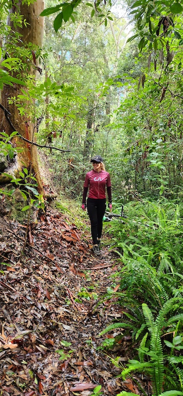 Blue Gum Creek Culvert 2 Mountain Biking Trail - Hornsby