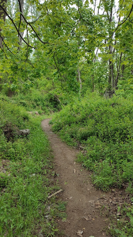 Snake Trail Multi Trail - Hopewell Township, New Jersey