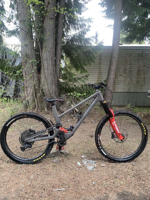 2022 Forbidden Druid XL custom build For Sale