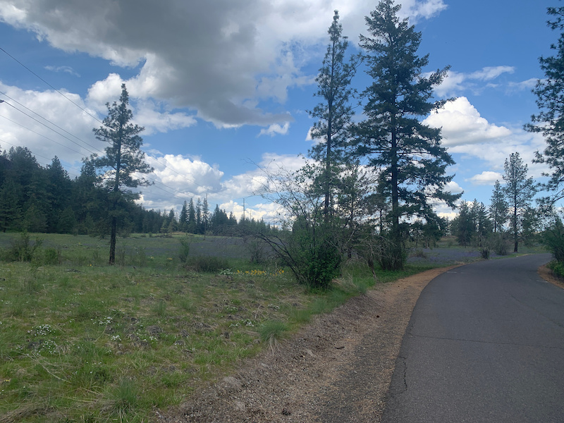 Spokane River Centennial Trail Multi Trail - Spokane