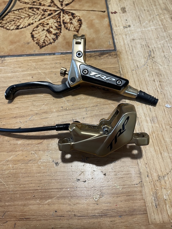 2021 Trp dhr EVO gold For Sale