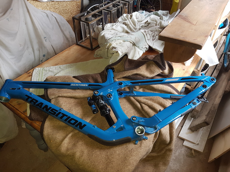 2022 Transition sentinel large frame cascade blue For Sale