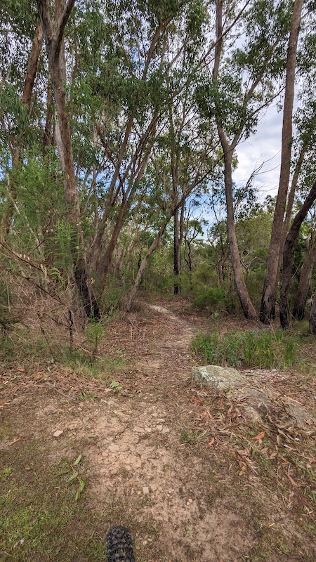 The climb of sumyung-gai Mountain Biking Trail - Hornsby