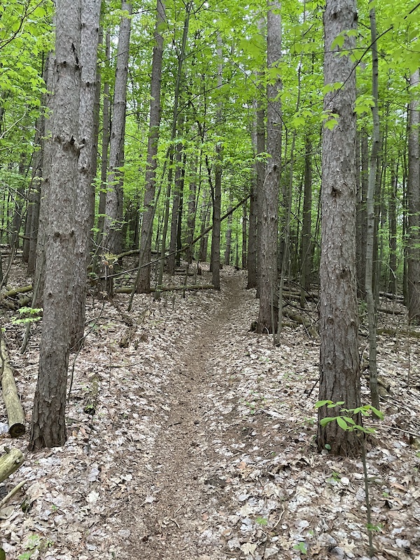 Rose Lake Trail North Multi Trail - Lansing, Michigan