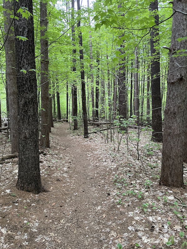 Rose Lake Trail South Multi Trail - Lansing, Michigan