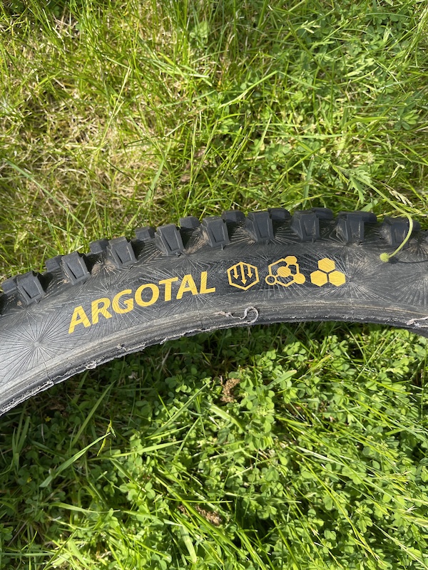 2022 Continental Argotal Soft DH 27.5x2.4 For Sale