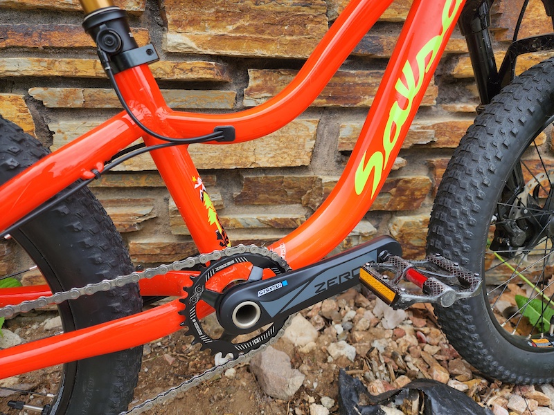 2020 Custom Salsa Timberjack 20 kids Mountain Bike Youth For Sale