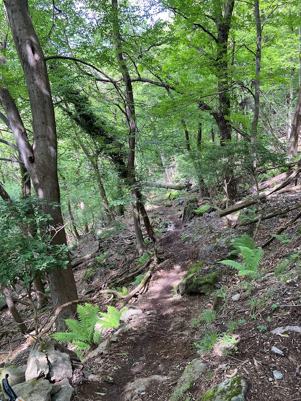 Monte Legnone, Colico Mountain Biking Trails | Trailforks