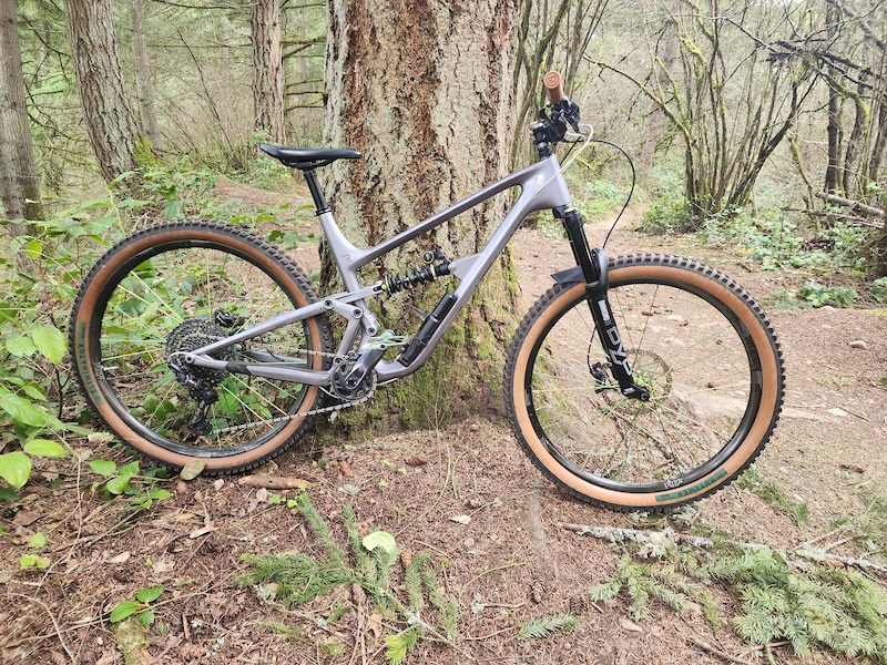 2022 Revel Rascal XL Custom Build For Sale