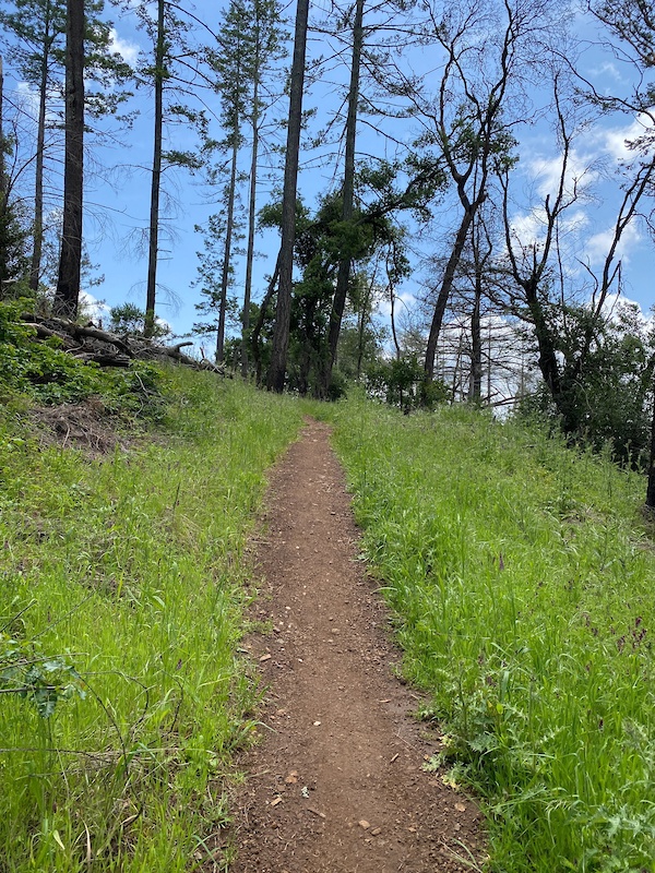 Lower Johnson Ridge Mountain Biking Trail - Santa Rosa