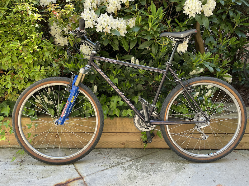 1993 Rocky Mountain Hammer - 18.5" For Sale