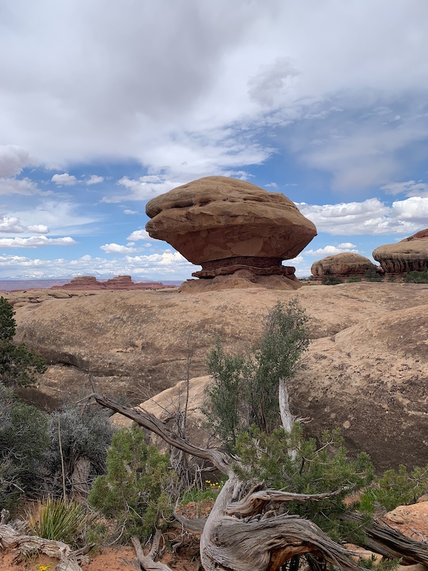 Lower Red Lake Canyon Trail Hiking Route | Trailforks