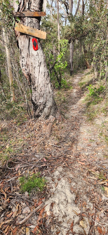 Hacksaw Ridge Mountain Biking Trail - Hazelbrook