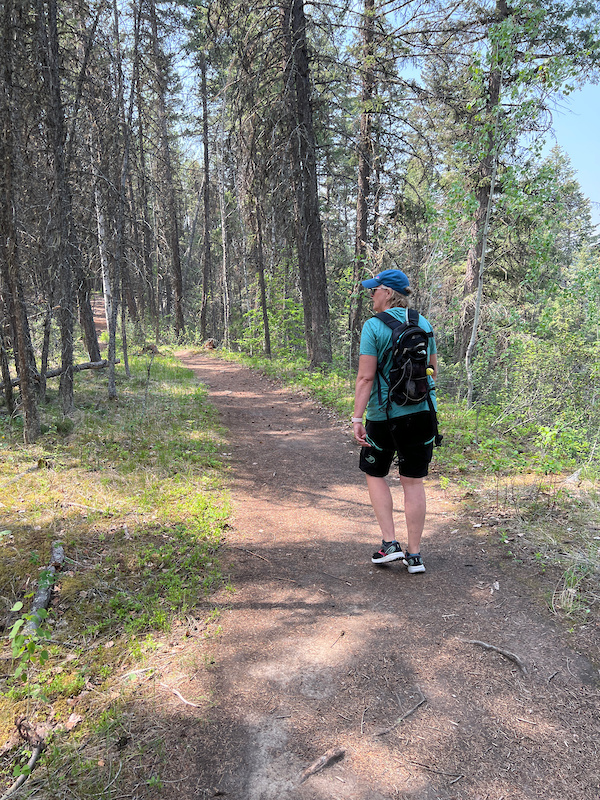 Lower Bugaboo Falls Hiking Trail - Radium Hot Springs, BC