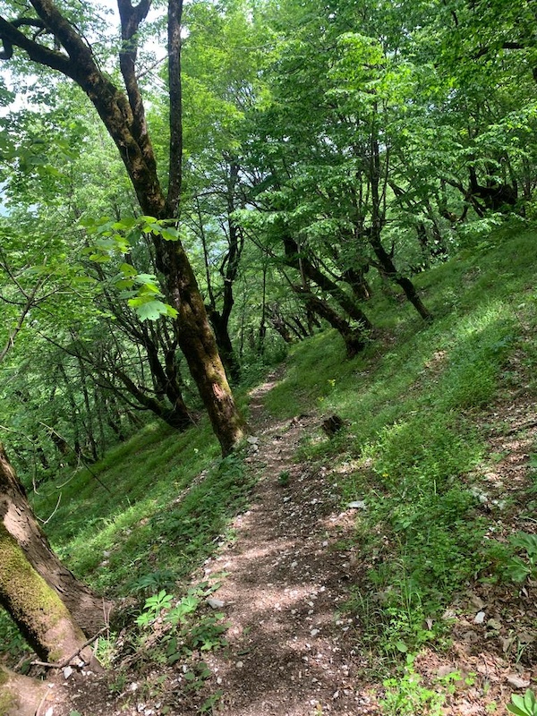 Gryka e Këlcyrës, Këlcyrë Mountain Biking Trails | Trailforks