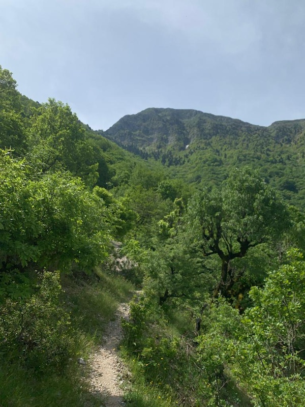 Gryka e Këlcyrës, Këlcyrë Mountain Biking Trails | Trailforks