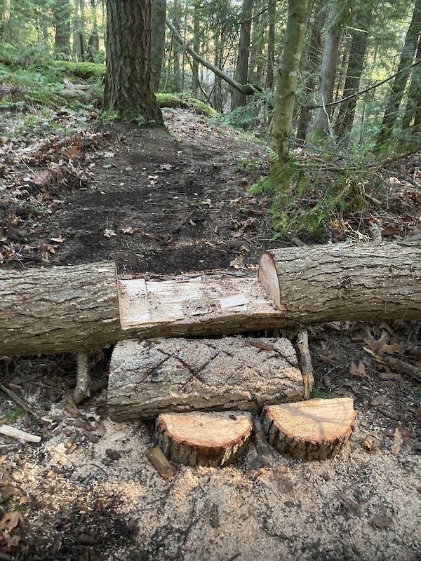 GB - LR01 Log Ride Over POI | Trailforks