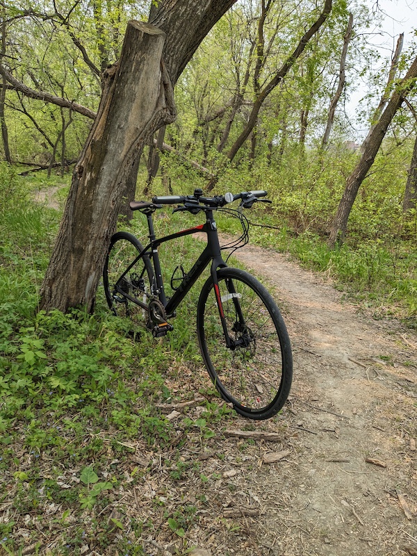 2019 Trek FXS5 For Sale