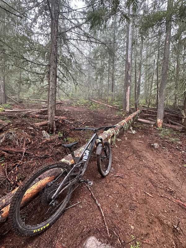 Blue Steel Mountain Biking Trail - Nelson, BC