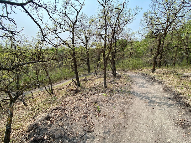 Squirrel Chaser 5 Km Route Mountain Biking Route | Trailforks