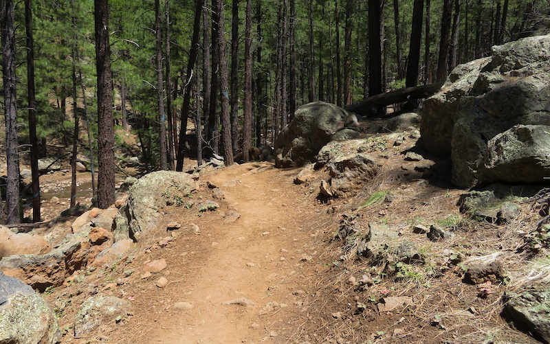 AZT - Schultz Creek Multi Trail - Flagstaff, Arizona