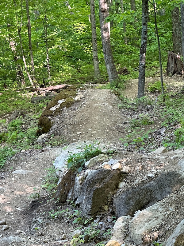 Raptor Lane Trails, Dorset Mountain Biking Trails | Trailforks