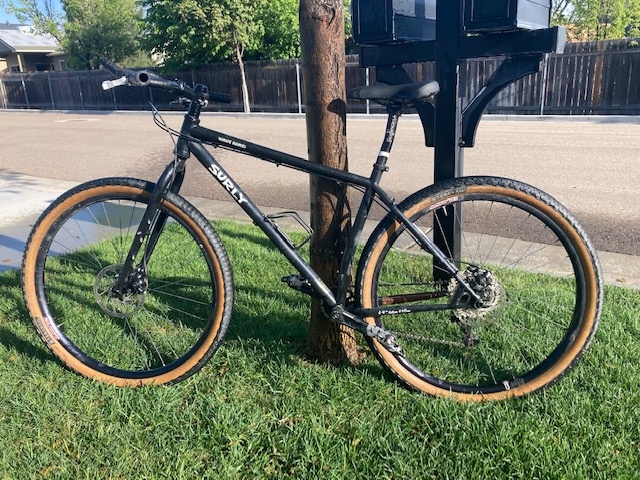 2019 Surly Karate Monkey Large For Sale